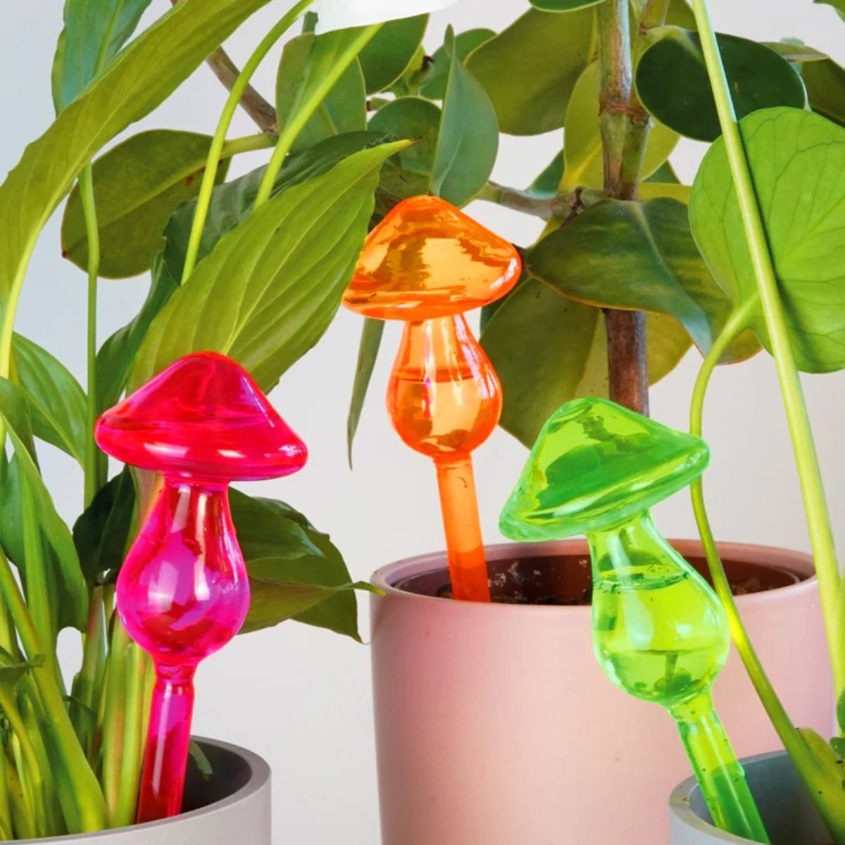 Mushroom Micro Dousers